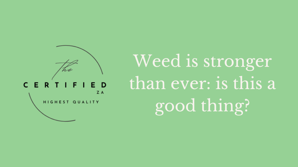 Weed is Stronger Than Ever: Is this a good thing? - The Certified Za